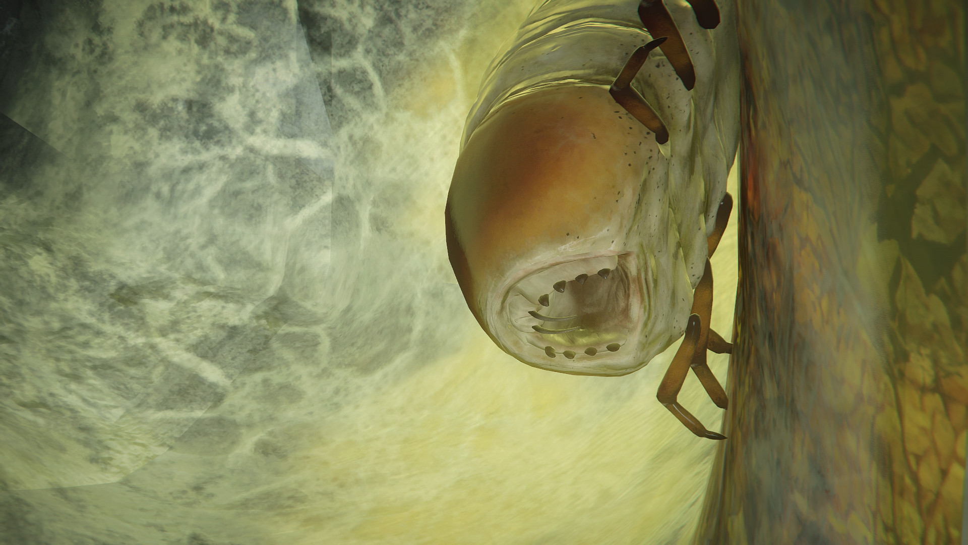 Better Antlion Grub Mod for Half-Life 2 | HL2 Mods