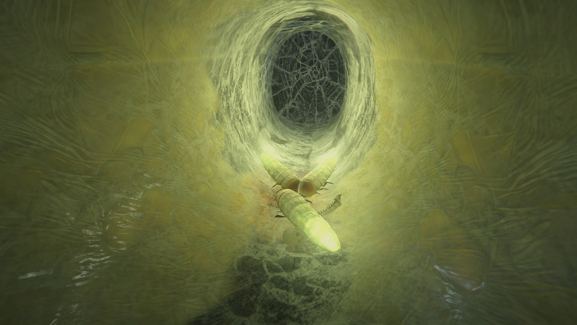Better Antlion Grub Mod for Half-Life 2 | HL2 Mods