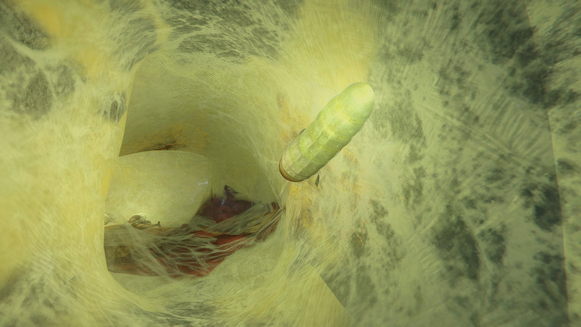 Better Antlion Grub Mod for Half-Life 2 | HL2 Mods