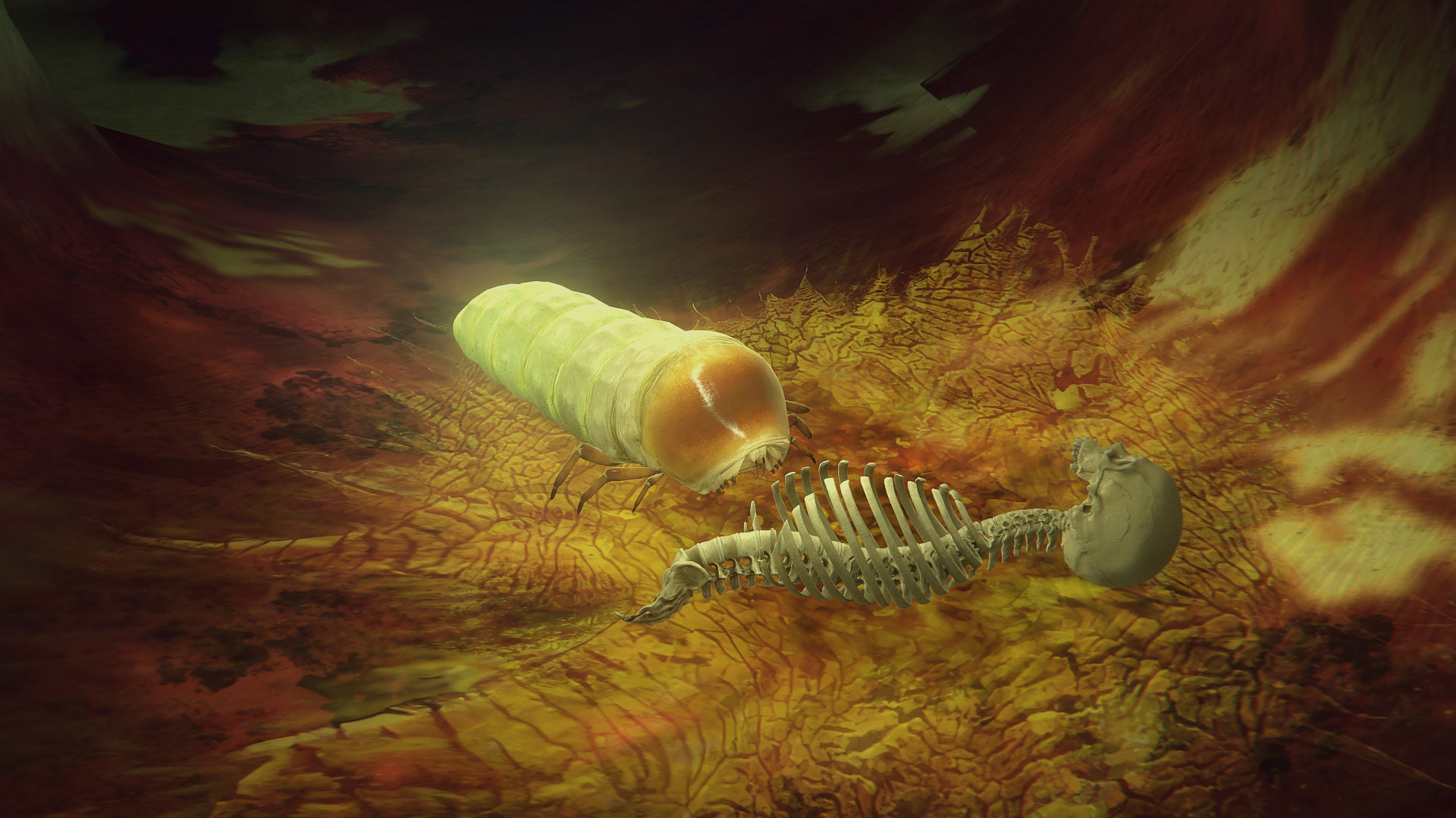 Better Antlion Grub Mod for Half-Life 2 | HL2 Mods
