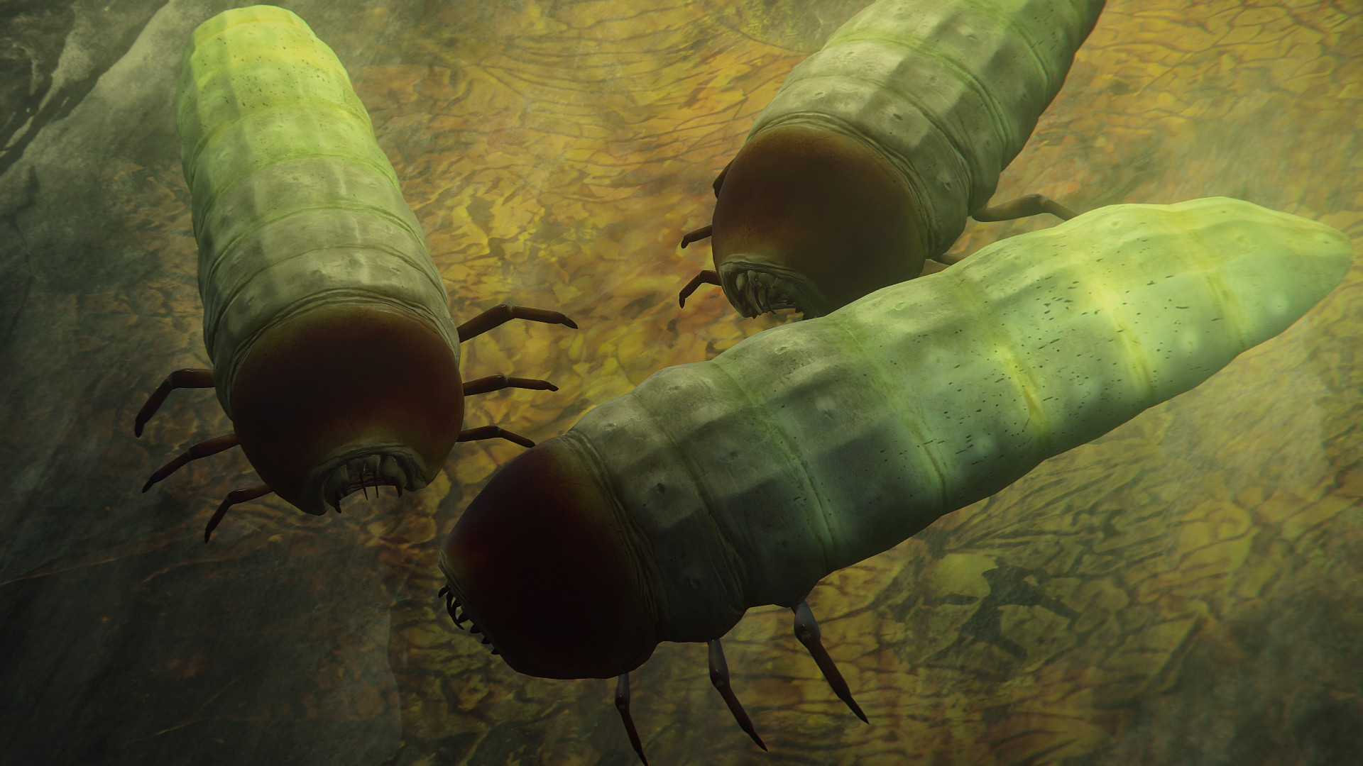 Better Antlion Grub Mod for Half-Life 2 | HL2 Mods