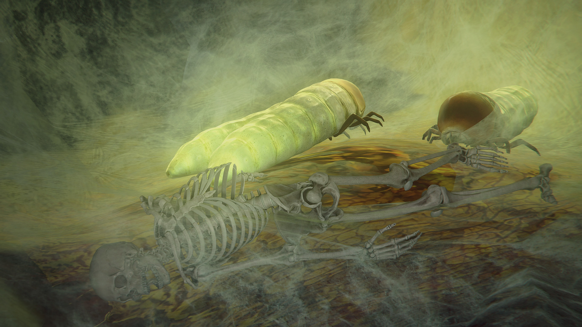 Better Antlion Grub Mod for Half-Life 2 | HL2 Mods