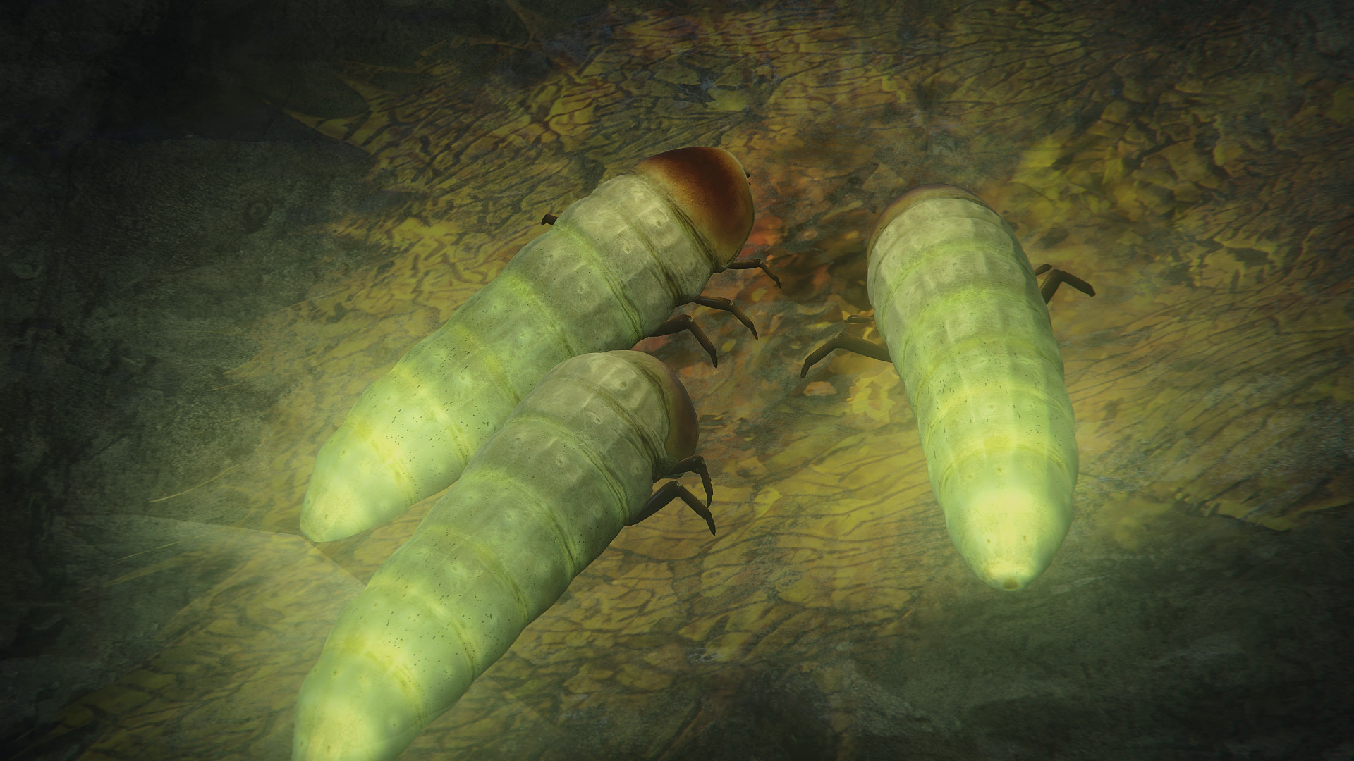 Better Antlion Grub Mod for Half-Life 2 | HL2 Mods