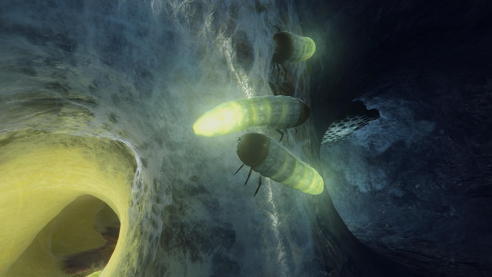 Better Antlion Grub Mod for Half-Life 2 | HL2 Mods