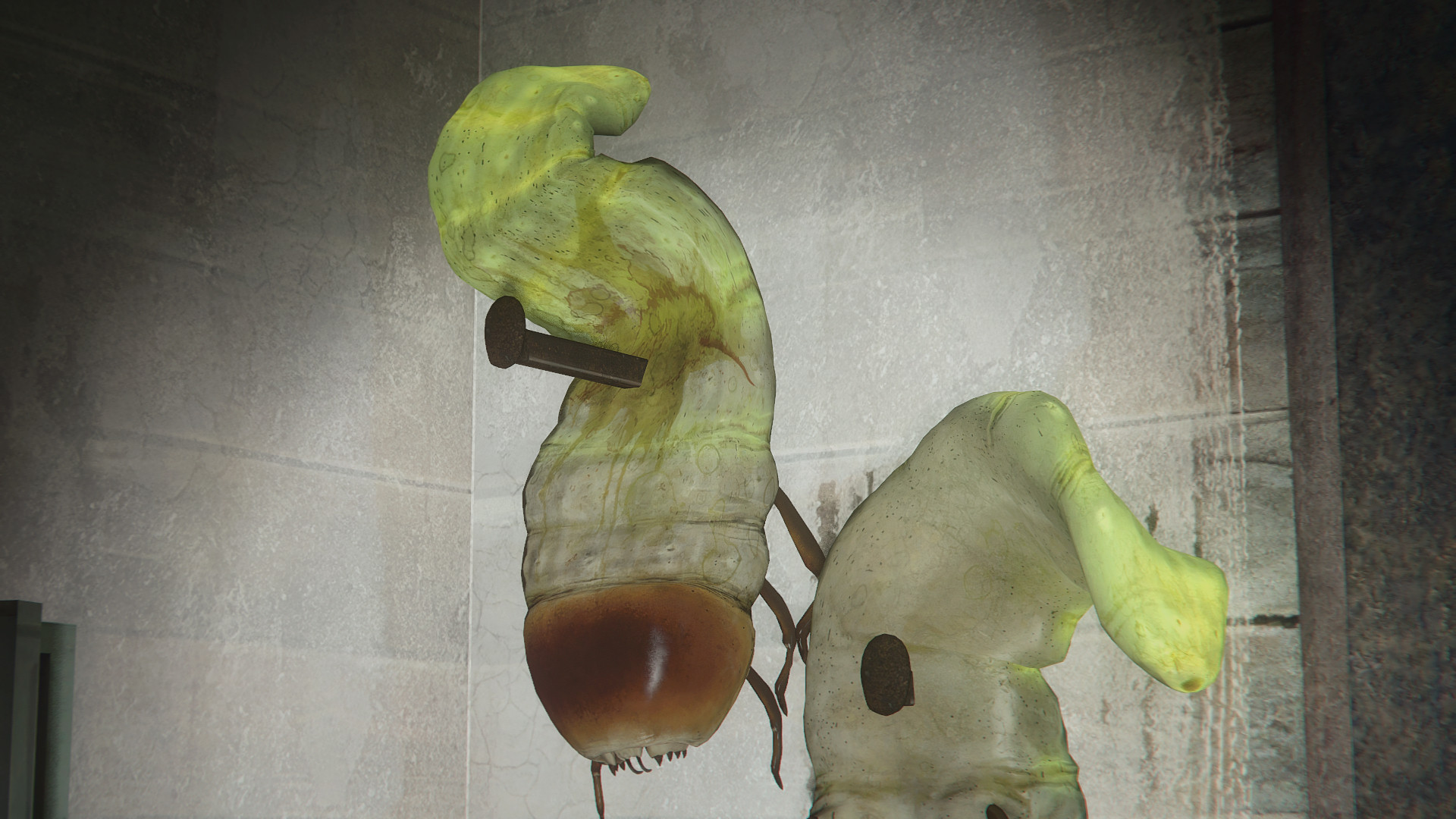 Better Antlion Grub Mod for Half-Life 2 | HL2 Mods