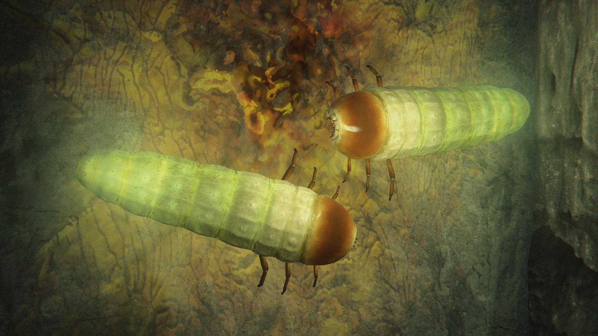 Better Antlion Grub Mod for Half-Life 2 | HL2 Mods