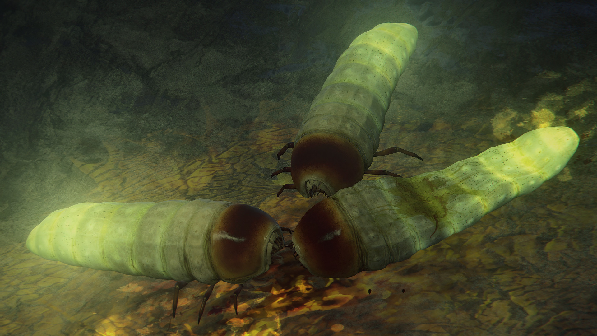 Better Antlion Grub Mod for Half-Life 2 | HL2 Mods