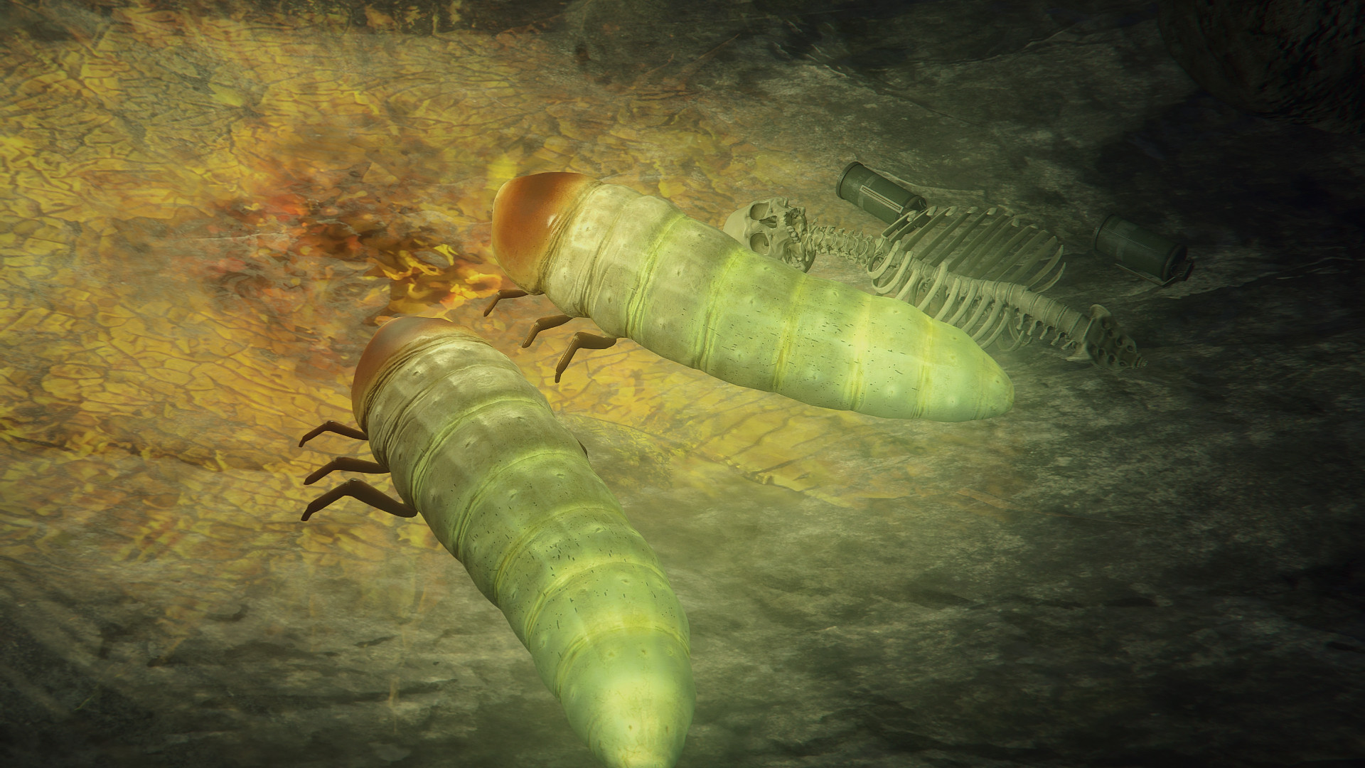 Better Antlion Grub Mod for Half-Life 2 | HL2 Mods