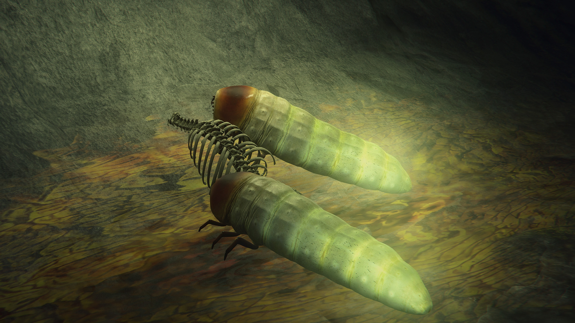 Better Antlion Grub Mod for Half-Life 2 | HL2 Mods