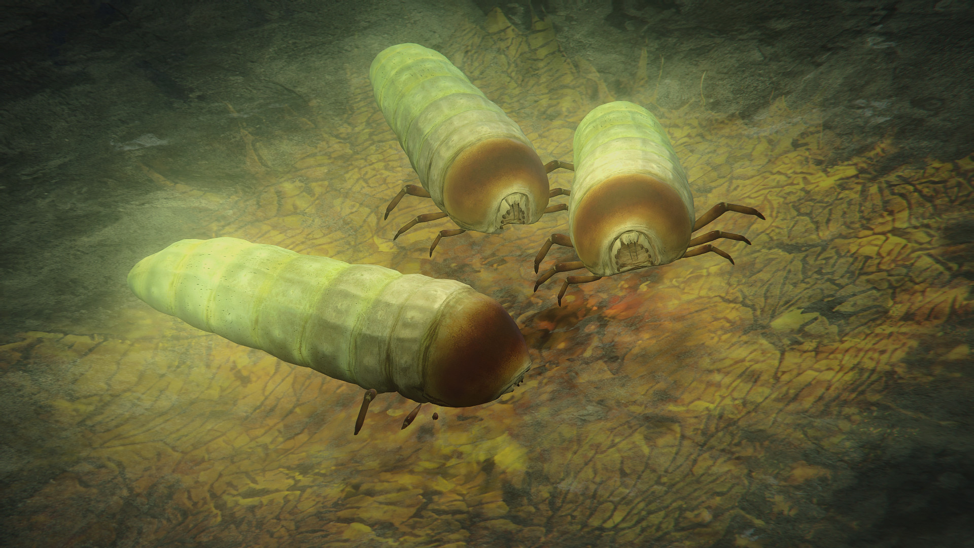 Better Antlion Grub Mod for Half-Life 2 | HL2 Mods