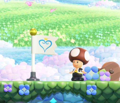 Toad Sora Mod for Super Mario Bros. Wonder | SMBW Mods