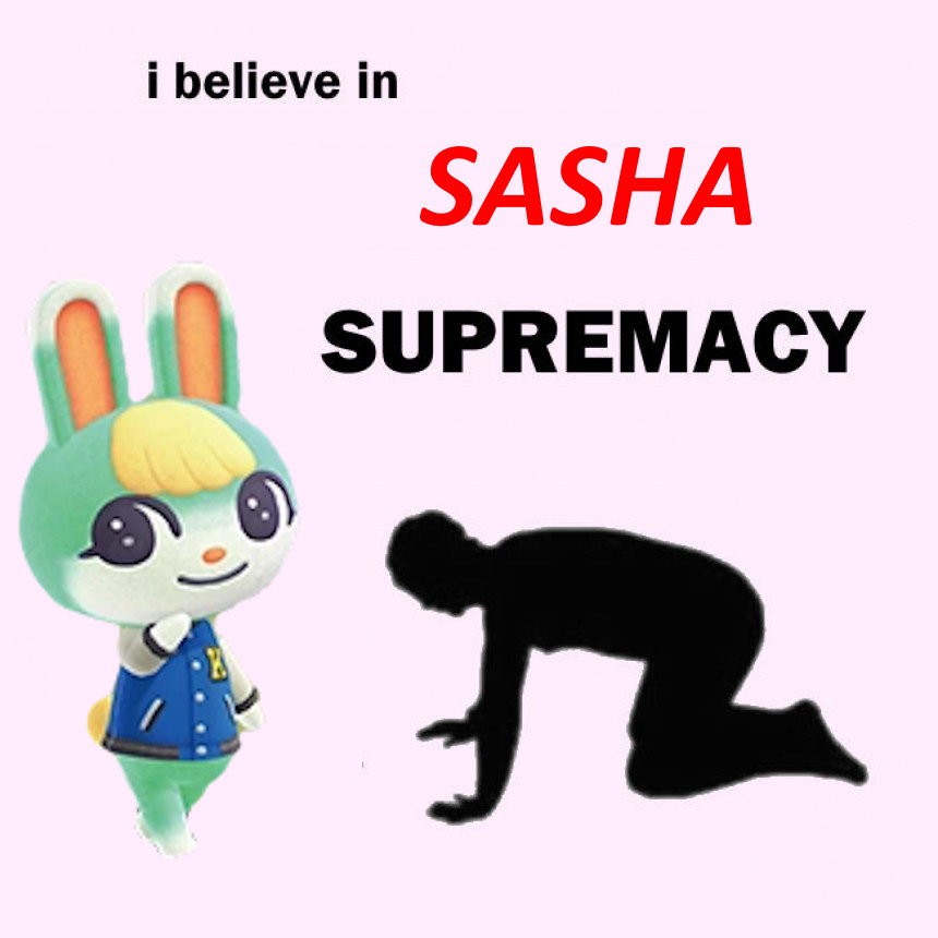 Sasha in Animal Crossing: Wild World! Mod for Animal Crossing: Wild ...
