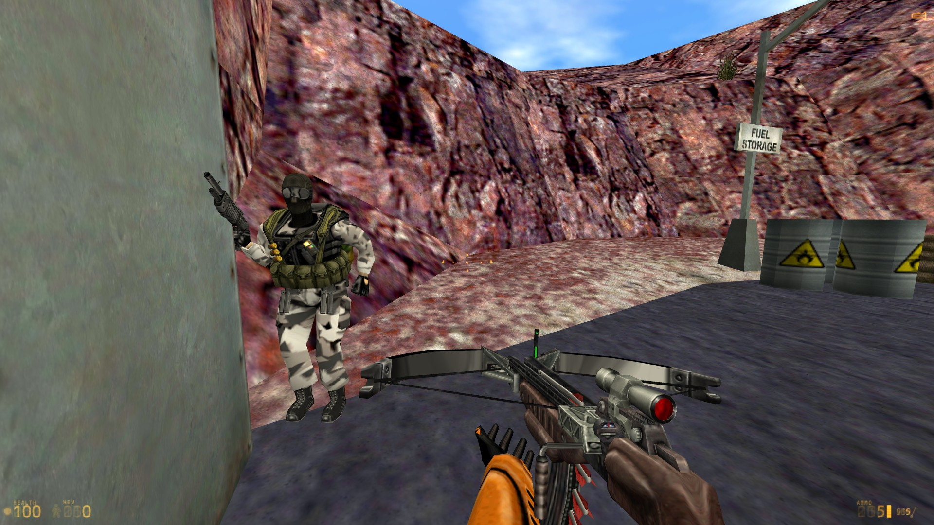 NPC'S Revitalization for HL:MMOD with HD Weapons Mod for Half-Life ...