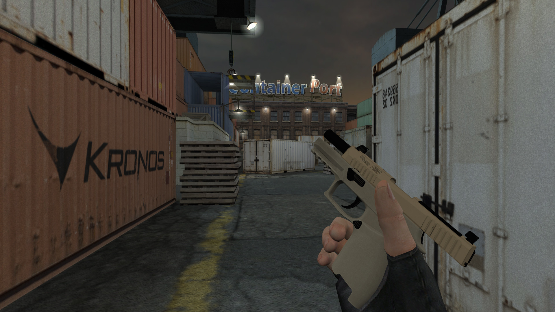 SIG Sauer M17 MHS on MW2019 Animations Mod for Counter-Strike 1.6 | CS1 ...