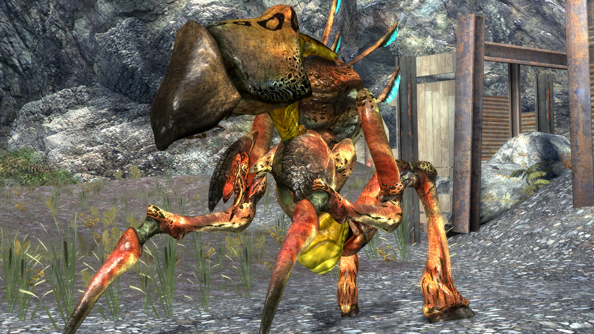 Antlion Guard Mod for Half-Life 2 | HL2 Mods