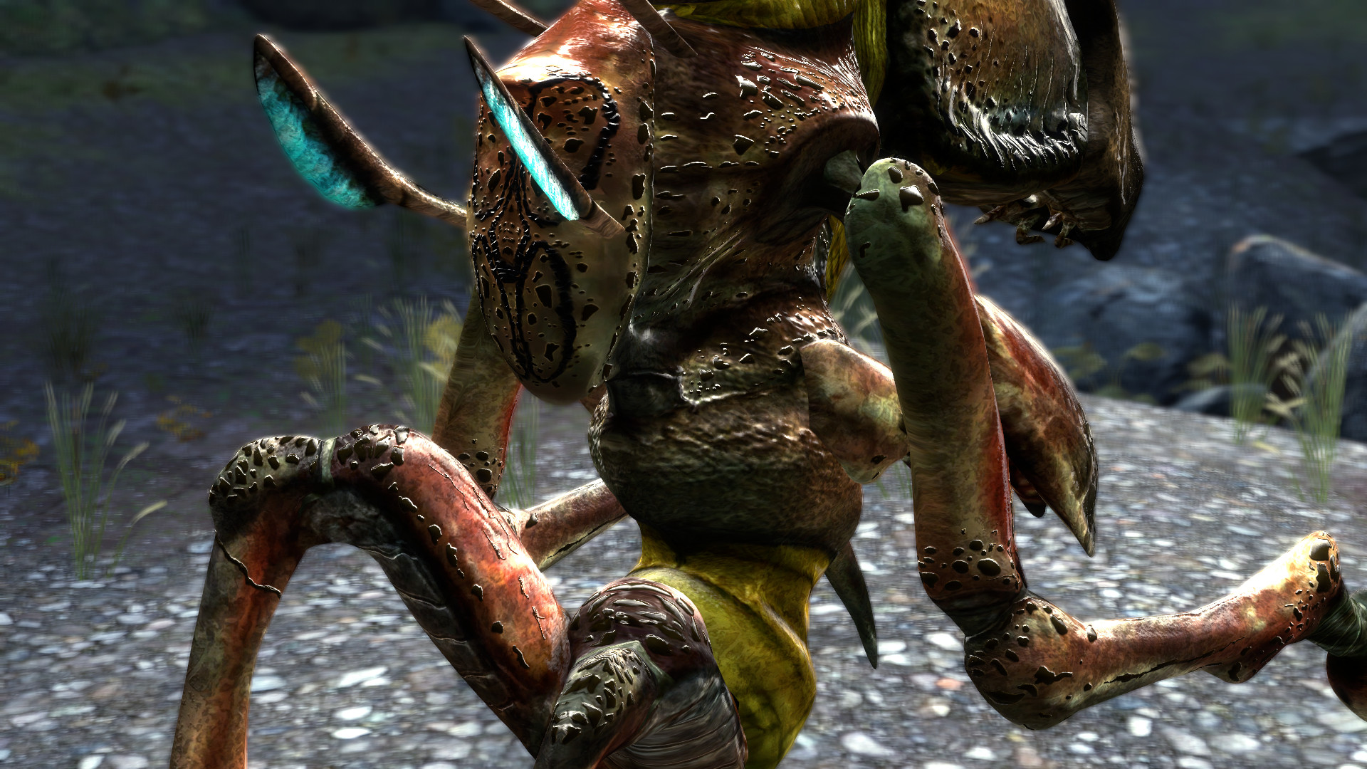 Antlion Guard Mod for Half-Life 2 | HL2 Mods