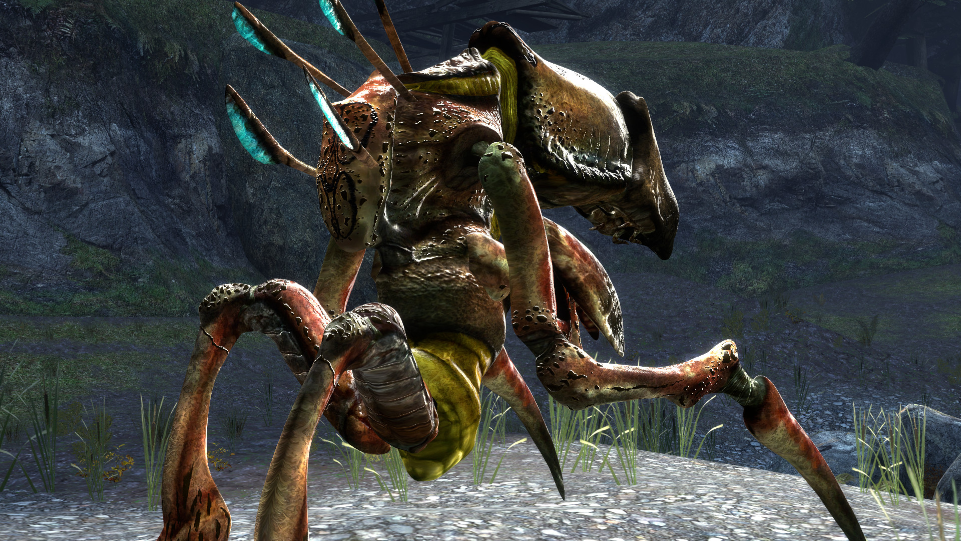 Antlion Guard Mod for Half-Life 2 | HL2 Mods