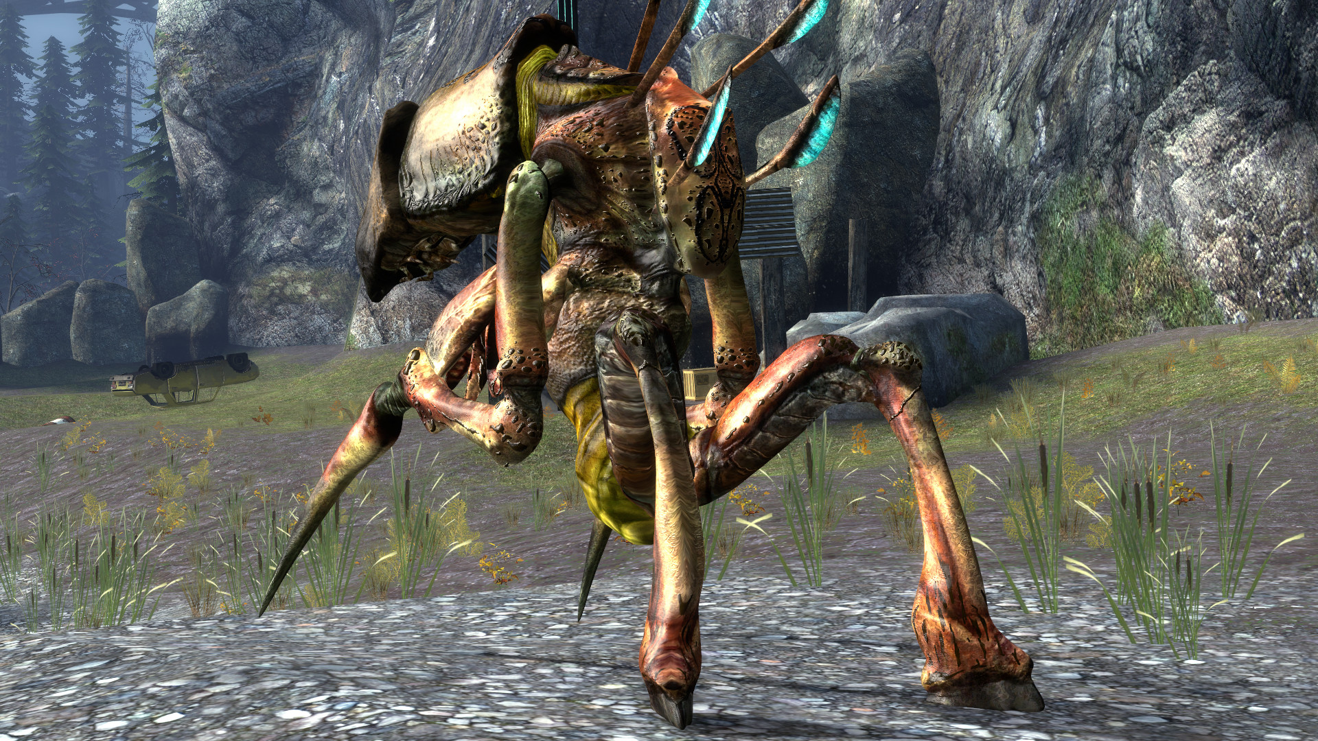 Antlion Guard Mod for Half-Life 2 | HL2 Mods