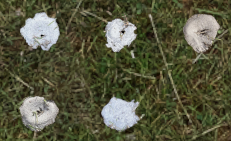 Half-life 2 Styled Decals Mod for Source Engine | Source Mods