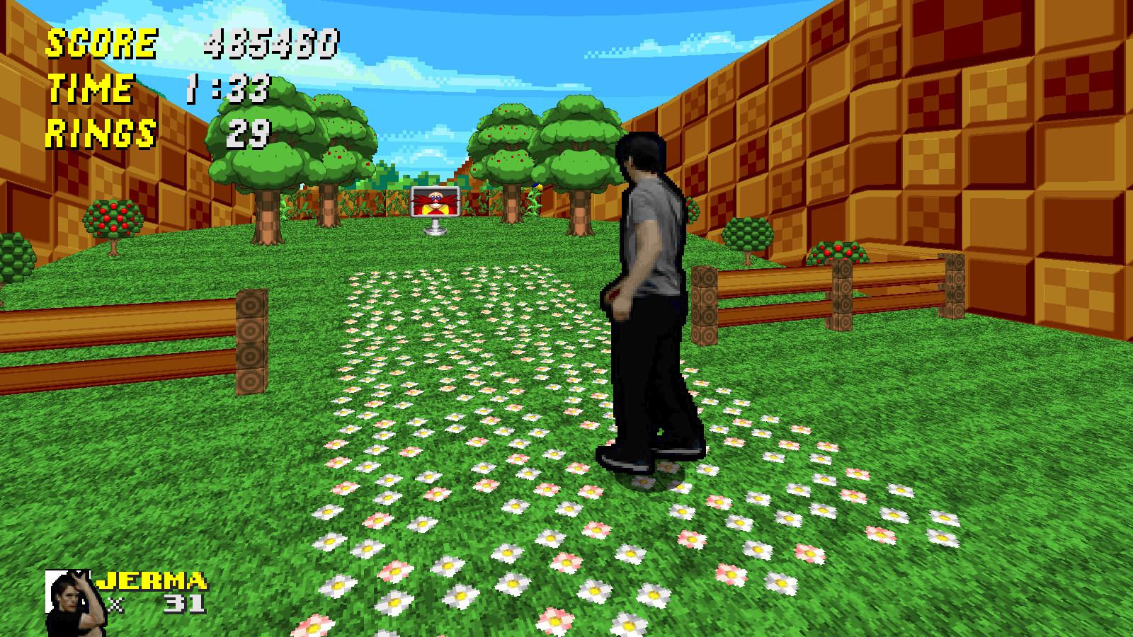 Jerma character mod Mod for Sonic Robo Blast 2 | SRB2 Mods