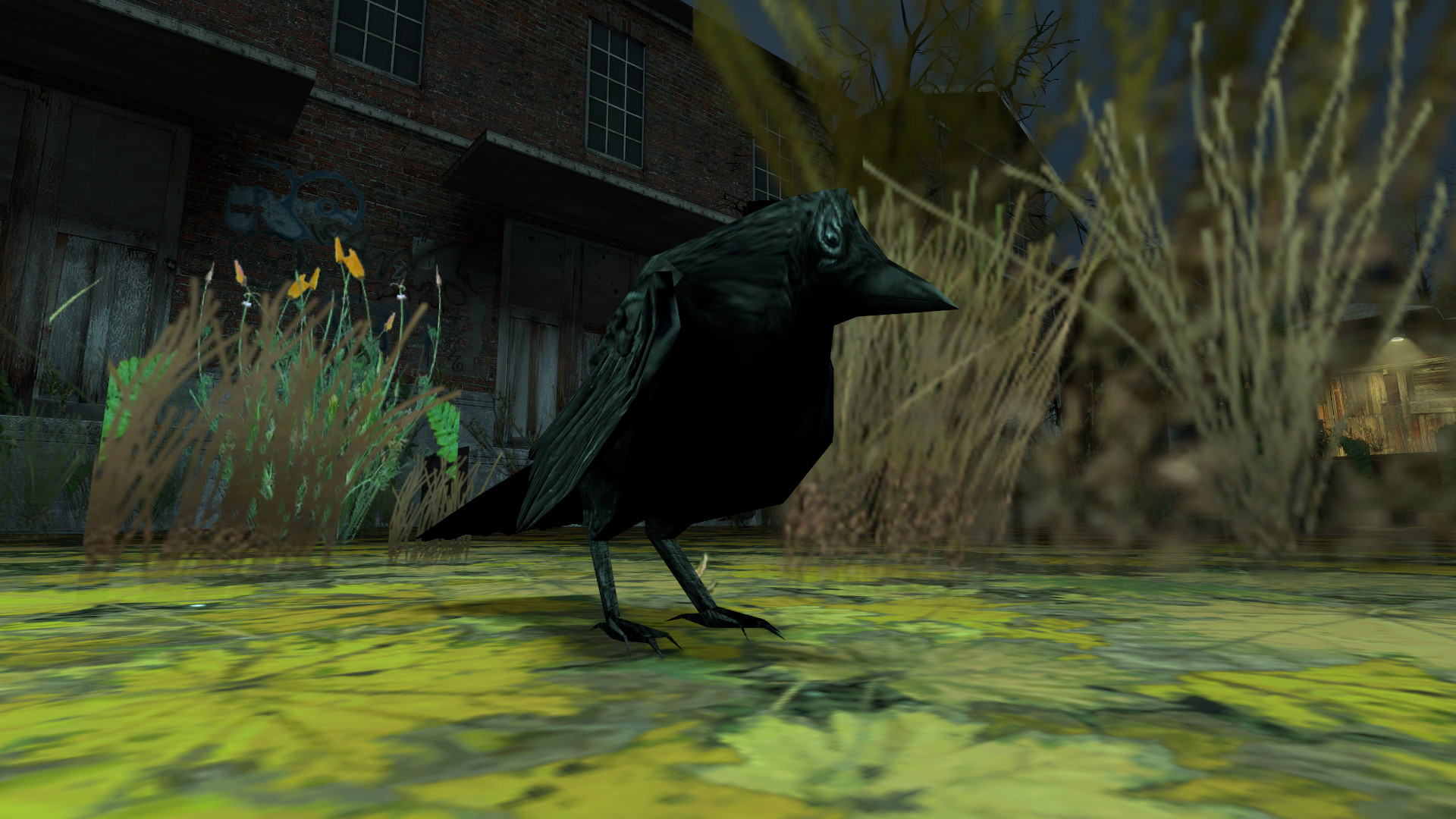 Crow Mod for Half-Life 2 | HL2 Mods