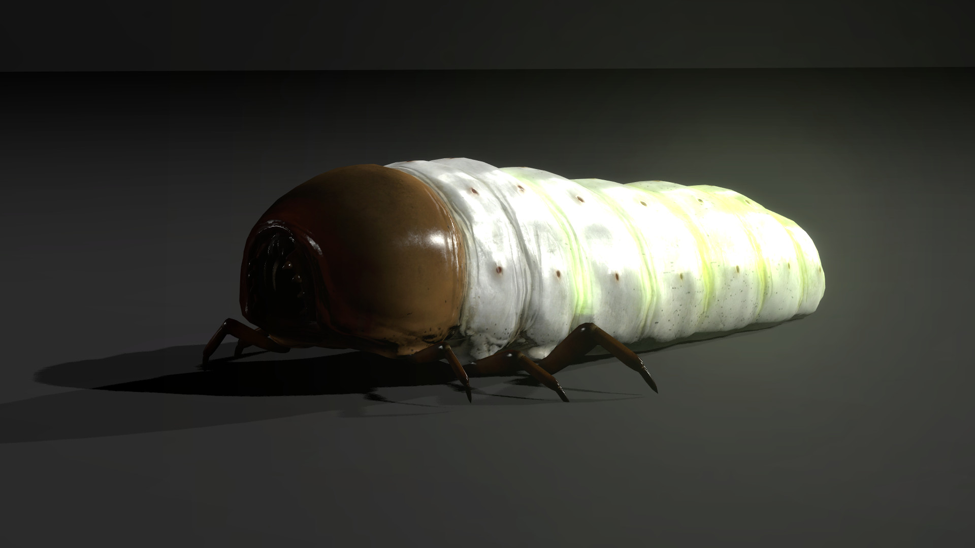 Antlion Larvae Half Life