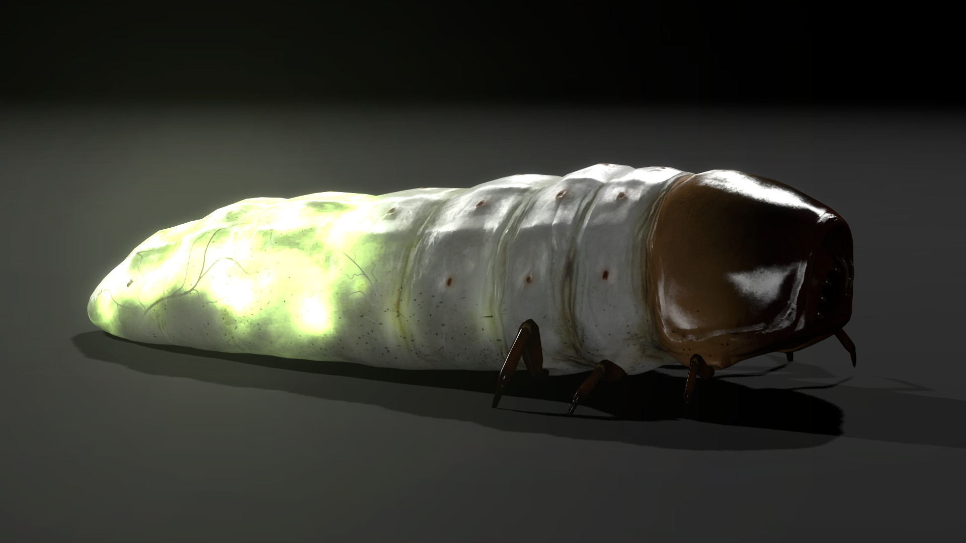 Necrotic's Antlion Grub Mod for Half-Life 2 | HL2 Mods