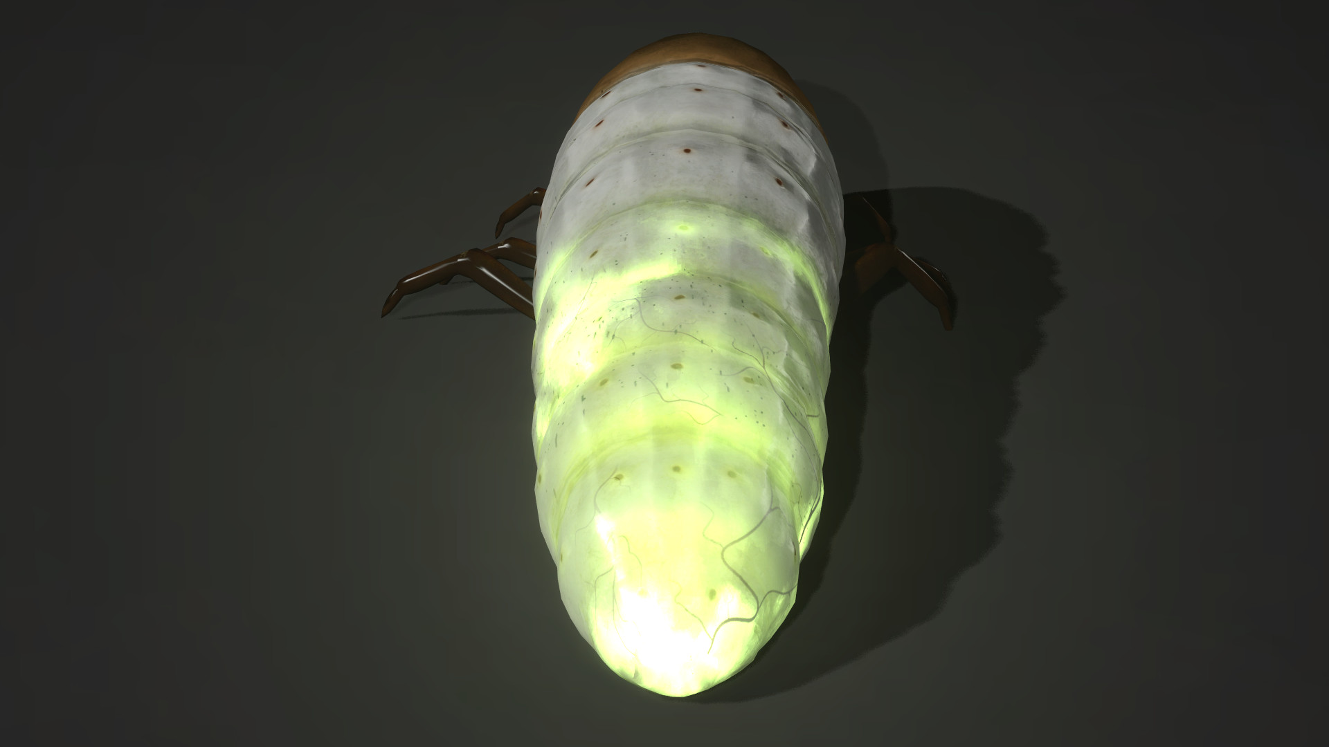 Necrotic's Antlion Grub Mod for Half-Life 2 | HL2 Mods