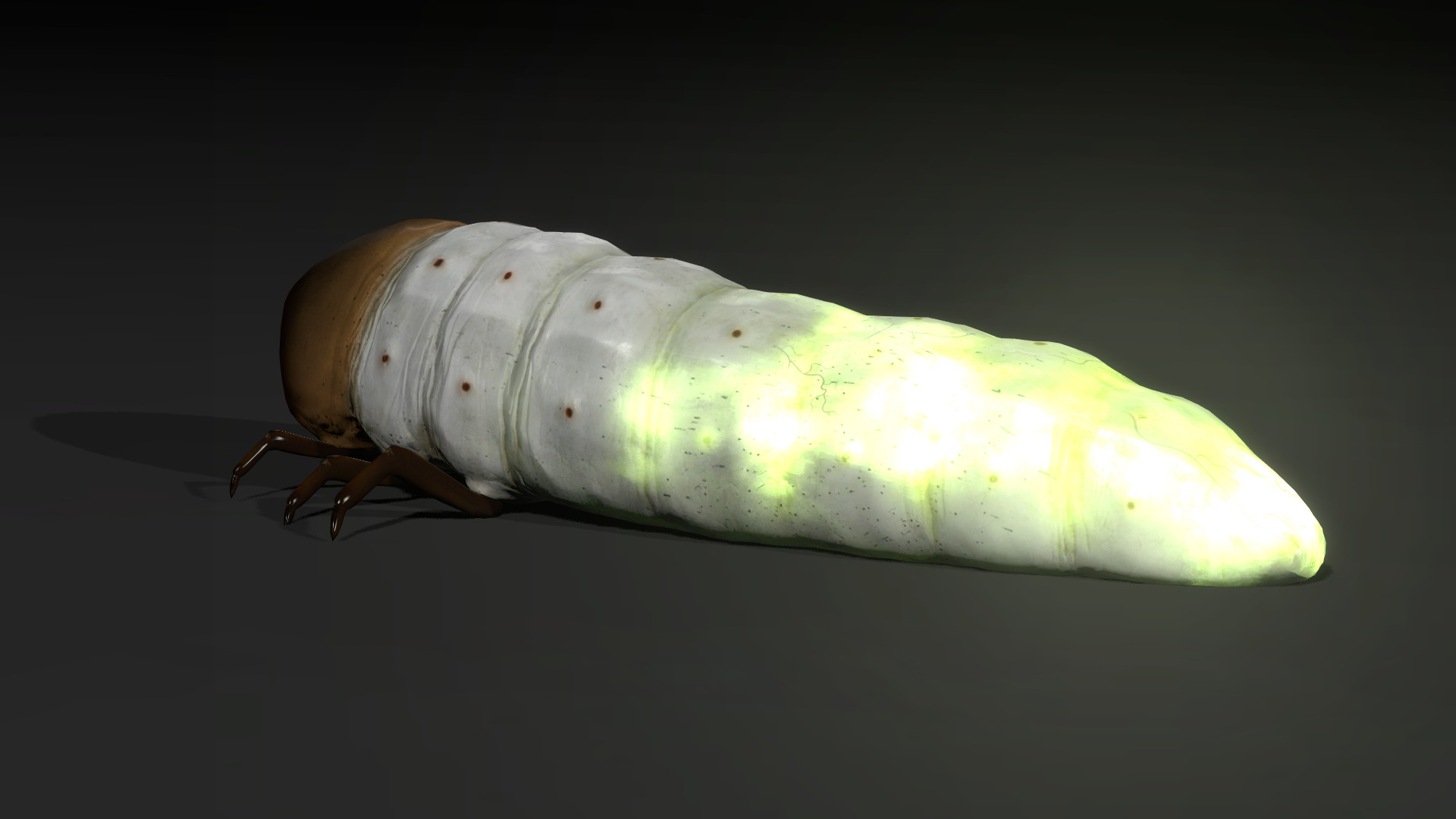 Necrotic's Antlion Grub Mod for Half-Life 2 | HL2 Mods
