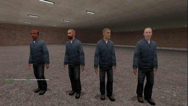 RNG FACES Mod for Half-Life 2 | HL2 Mods