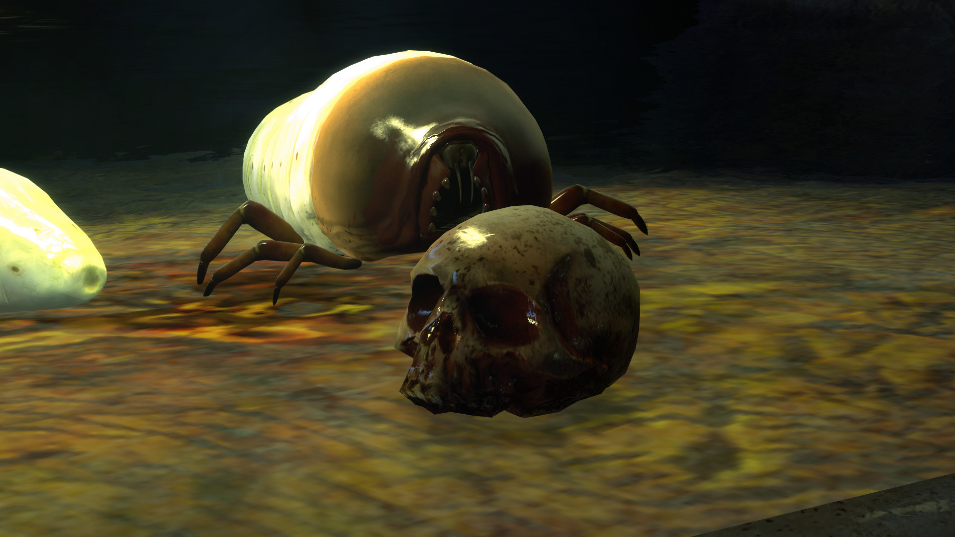 Improved Skeleton and Gibs textures Mod for Half-Life 2 | HL2 Mods