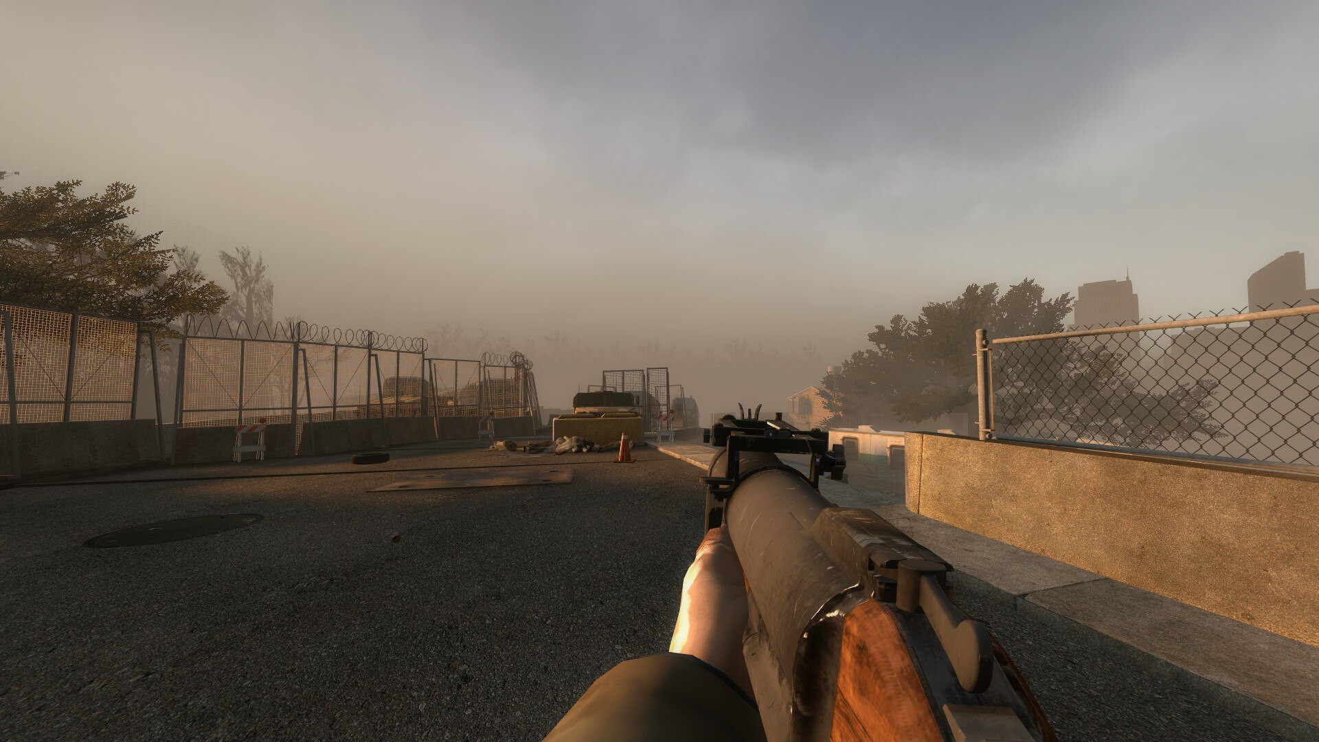 Left4Dead 2 - Default guns on MW2019 anims (UPD) Mod for Left 4 Dead 2 ...