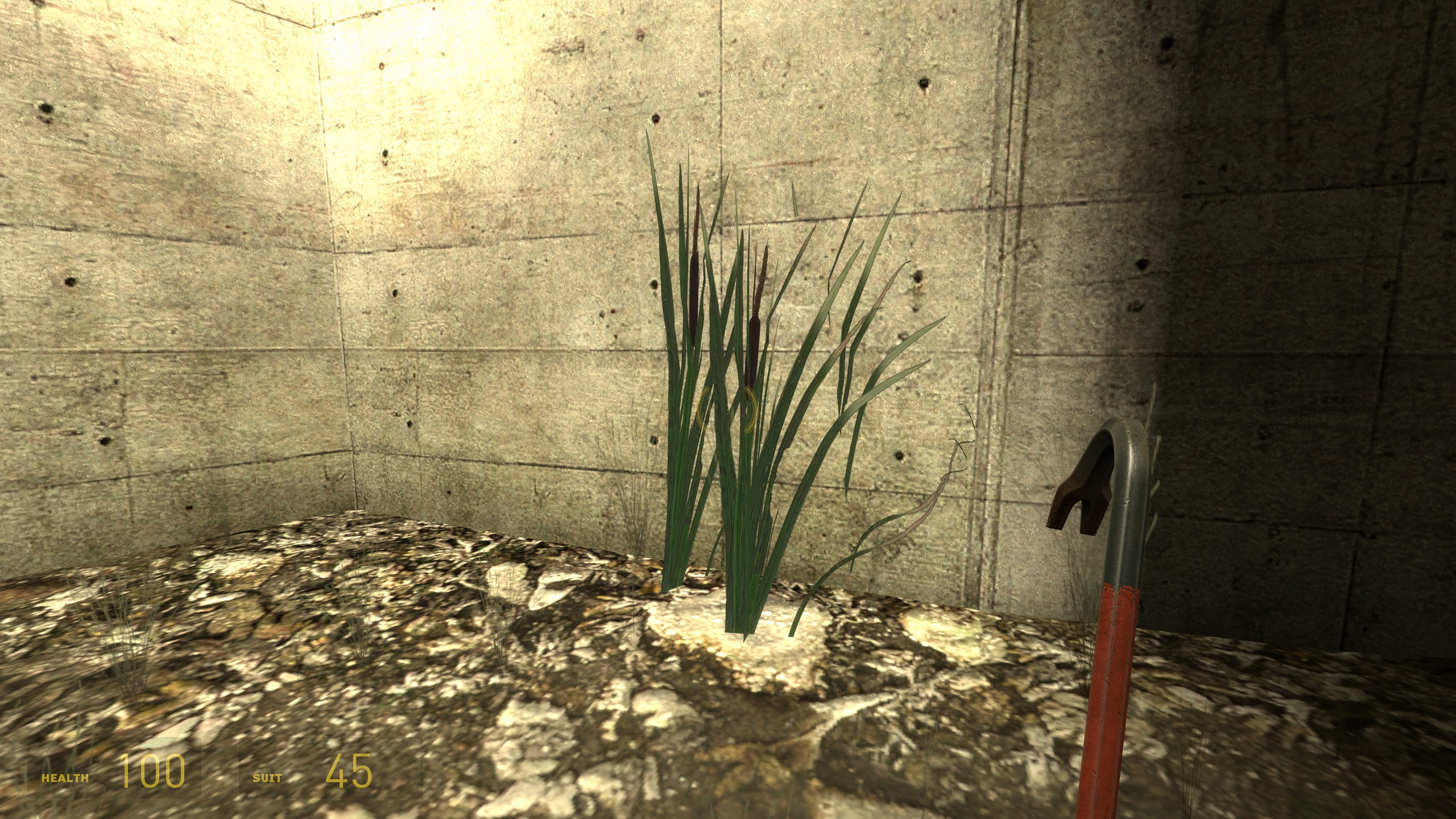 4K Leaves, ivy and cattail Mod for Half-Life 2 | HL2 Mods