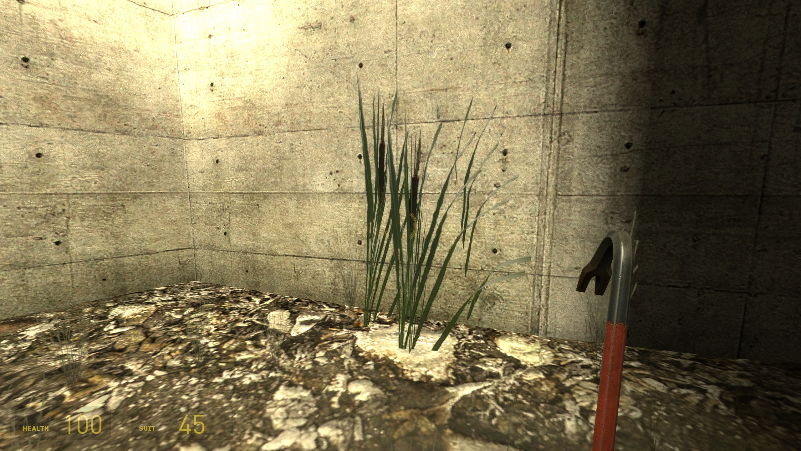 4K Leaves, ivy and cattail Mod for Half-Life 2 | HL2 Mods