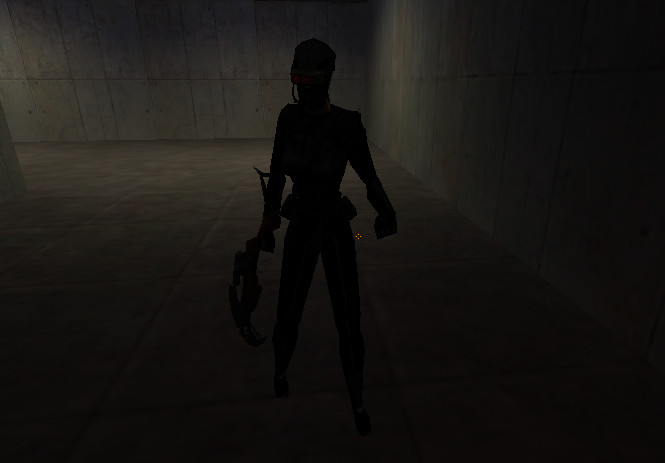 New Beta Assassin (Version 1) Mod for Half-Life | HL Mods