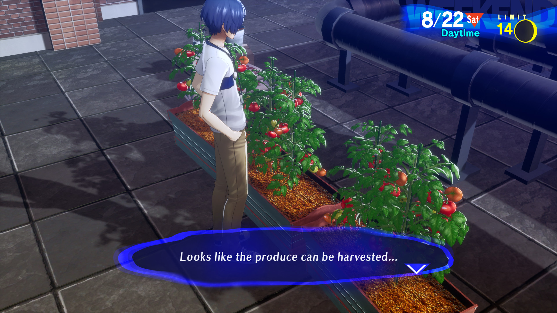 Faster Seed Harvest Mod for Persona 3 Reload | P3R Mods