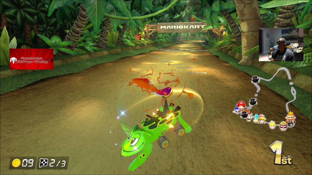Custom Made Frogoon the Frog Over Streetle MK8D Mod for Mario Kart 8 ...