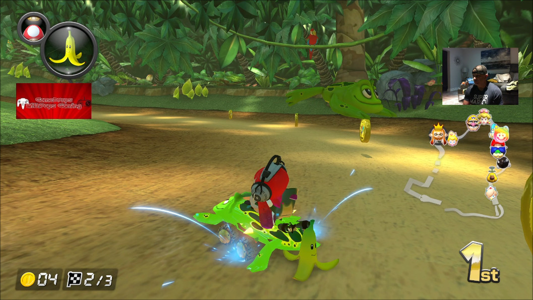 Custom Made Frogoon the Frog Over Streetle MK8D Mod for Mario Kart 8 ...