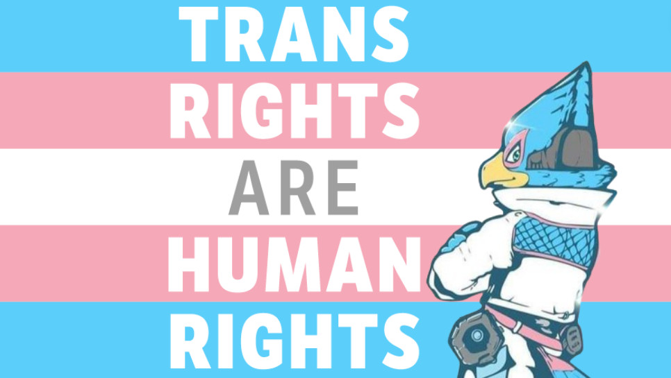 FalcoGal (Trans Pride) {REQUEST} Mod for Super Smash Bros. Ultimate ...