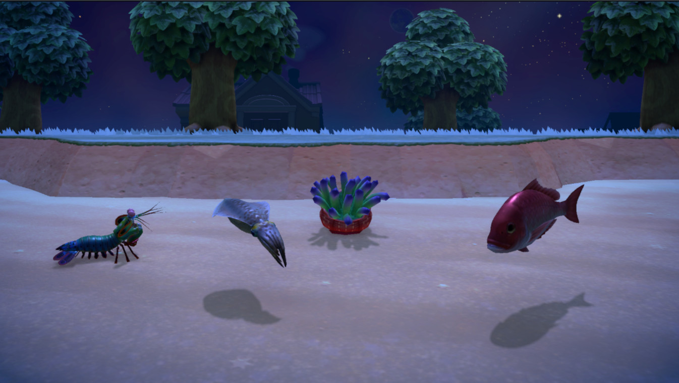 Sea Creatures Acnh