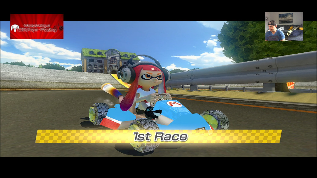 HD Standard MKAGPDX Reverse Colors Luigi Kart MK8D Mod for Mario Kart 8 ...