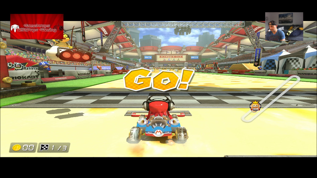 HD Standard MKAGPDX Reverse Colors Luigi Kart MK8D Mod for Mario Kart 8 ...