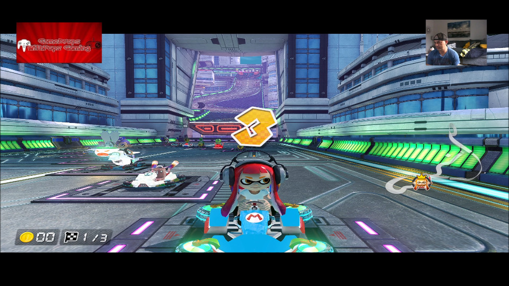 HD Standard MKAGPDX Reverse Colors Luigi Kart MK8D Mod for Mario Kart 8 ...