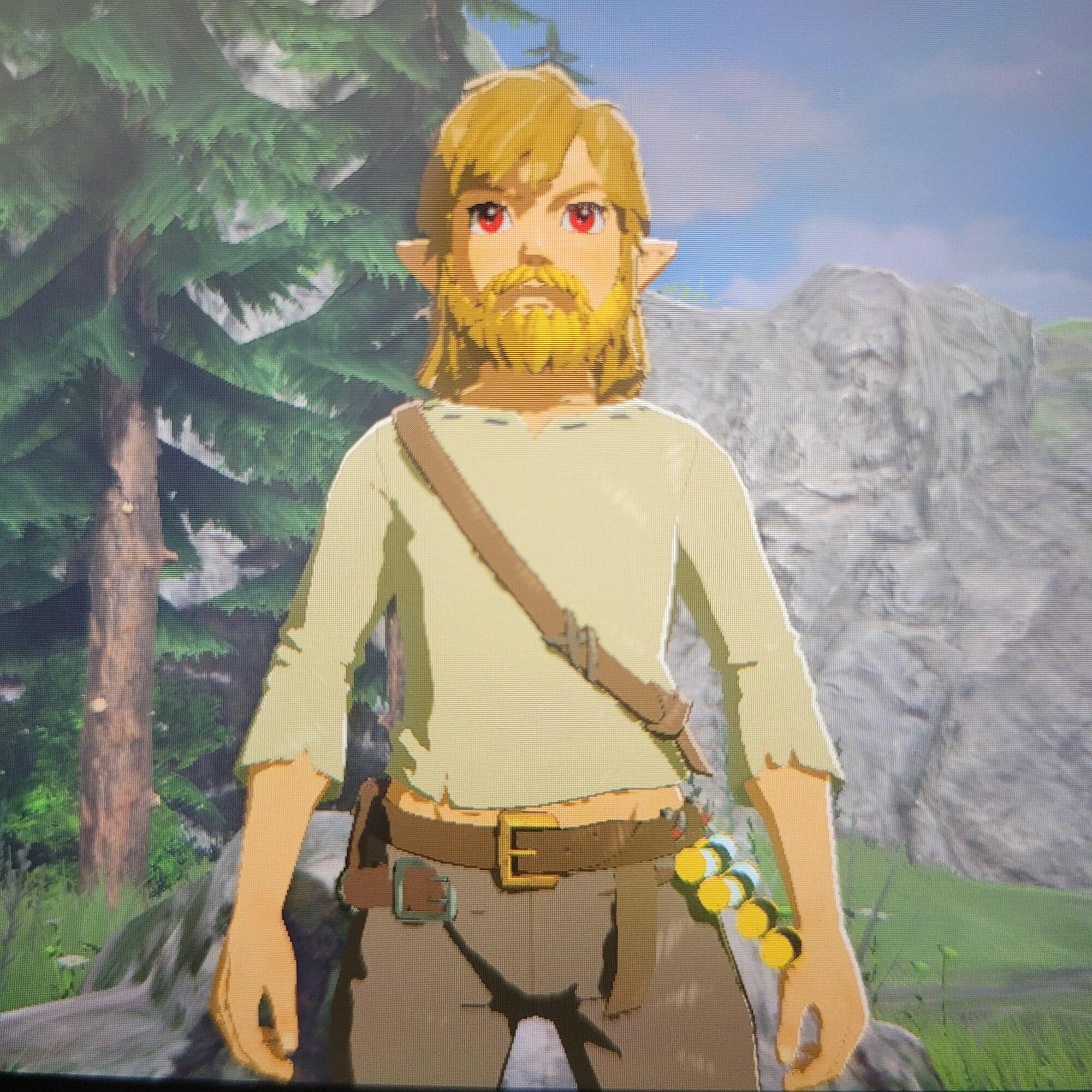Long hair and beard by default Mod for The Legend of Zelda: Breath of ...