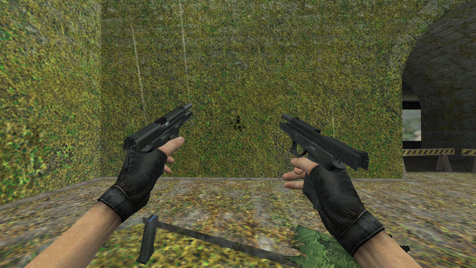 SIG P250 Akimbo on MW2019 Animation Mod for Counter-Strike 1.6 | CS1.6 Mods
