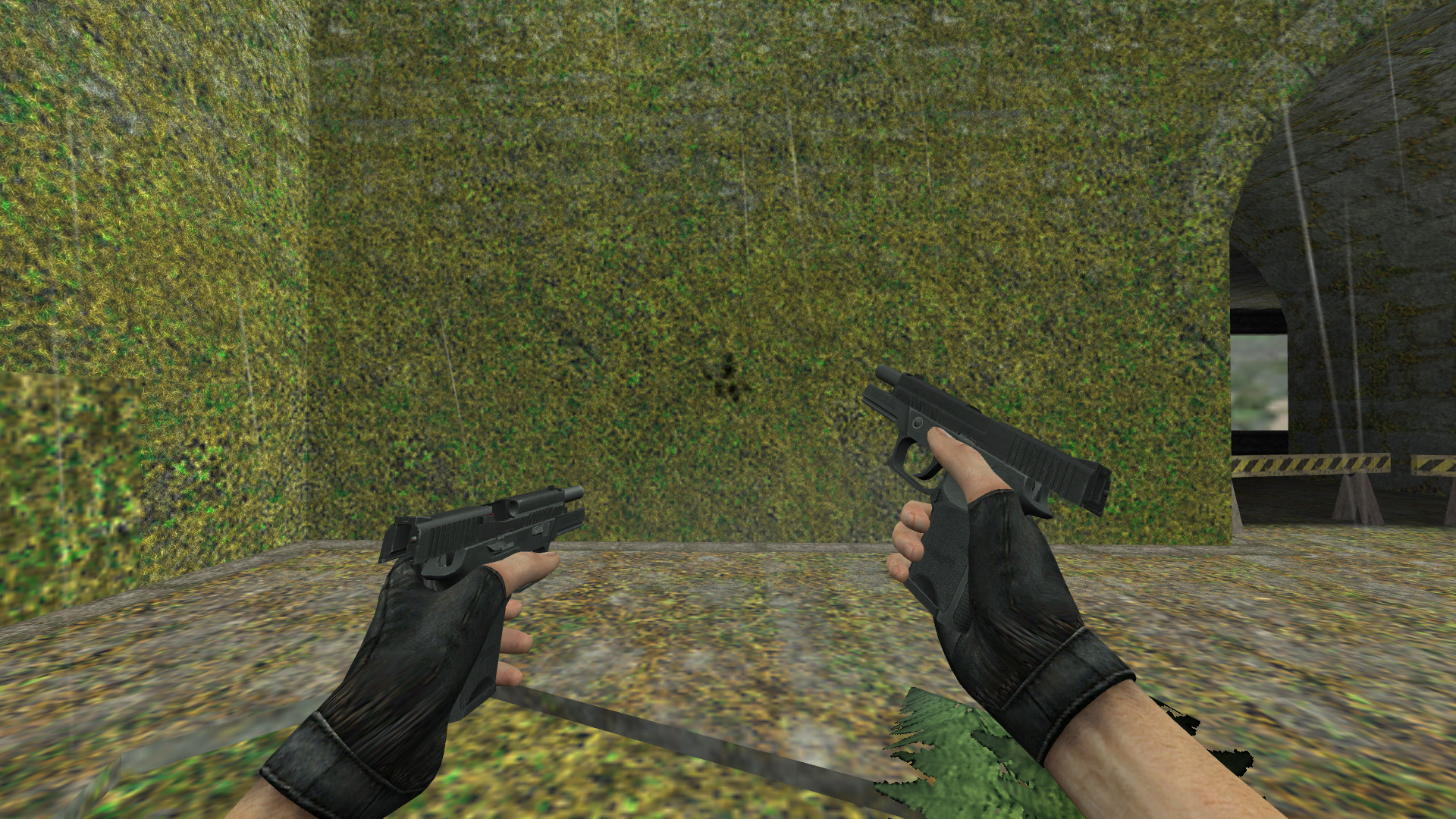 SIG P250 Akimbo on MW2019 Animation Mod for Counter-Strike 1.6 | CS1.6 Mods