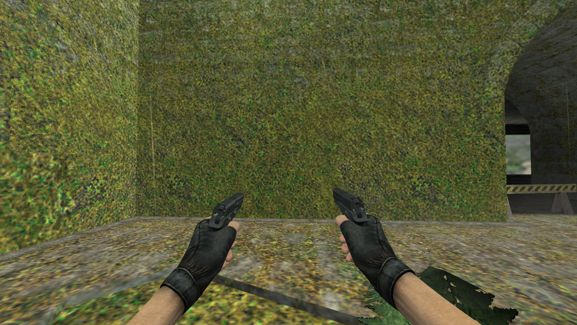 SIG P250 Akimbo on MW2019 Animation Mod for Counter-Strike 1.6 | CS1.6 Mods
