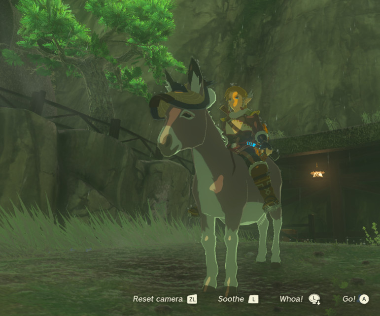 Ride the Donkeys Mod for The Legend of Zelda: Tears of the Kingdom ...