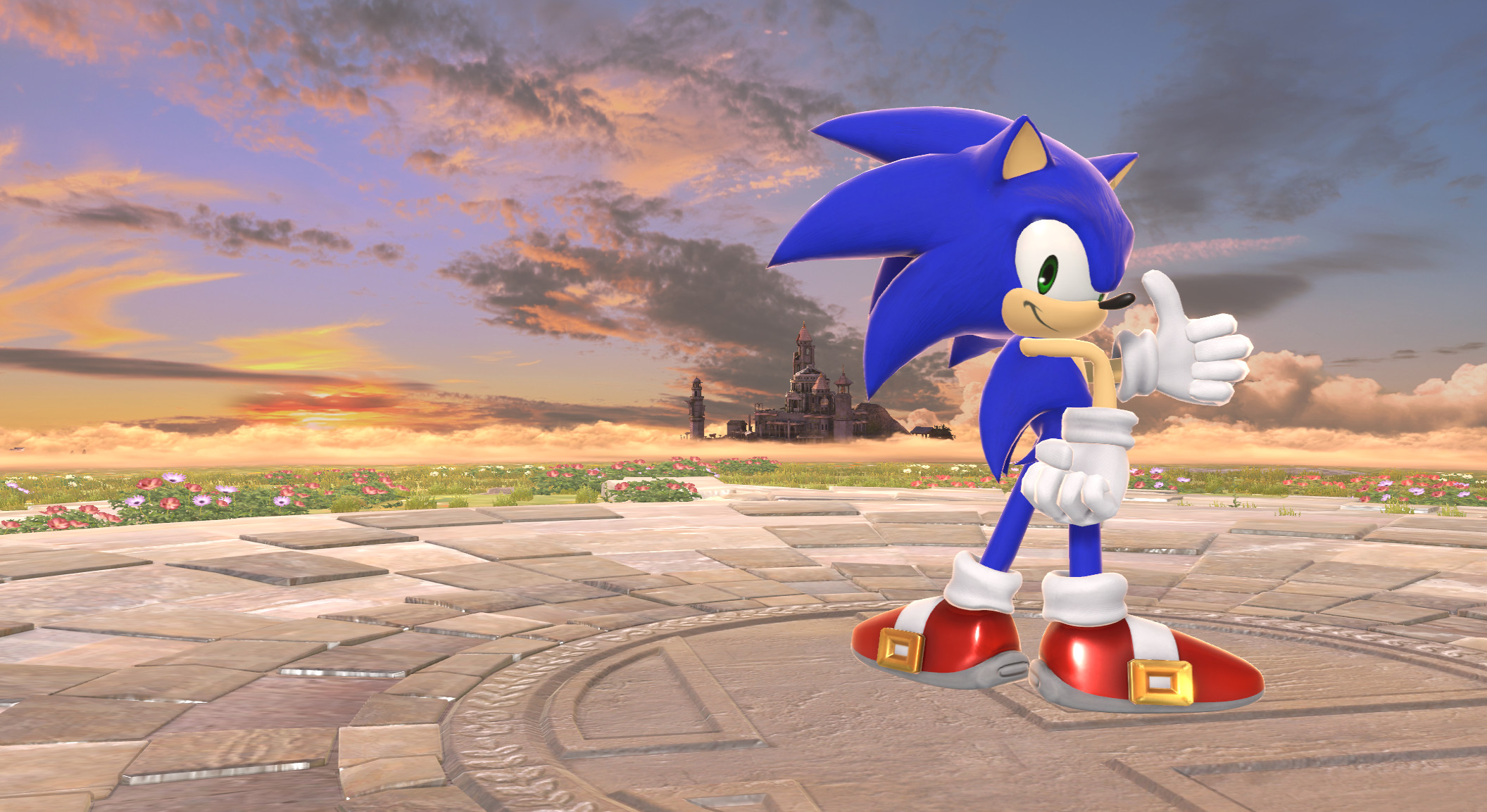 Sonic Advance 2 Victory Animation Mod for Super Smash Bros. Ultimate ...