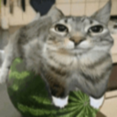 Watermelon Cat Team Fortress 2 Mods